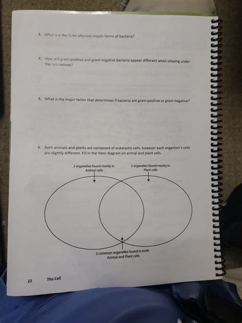 Solved The Cell Lab 3 Name Section Pre Lab Questions The