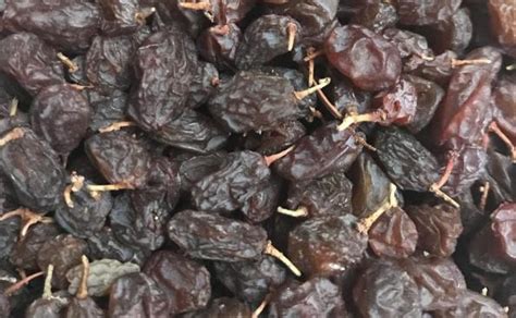 مرکز تولید کشمش مویز فخری کشمش آراد