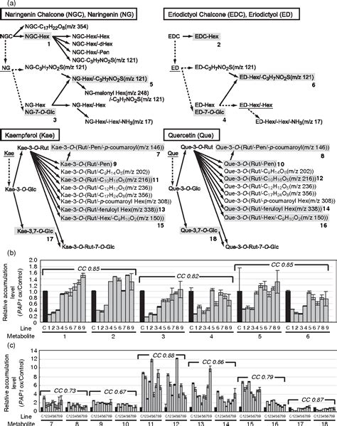 Figure 3 From Metabolite Annotations Based On The Integration Of Mass Spectral Information