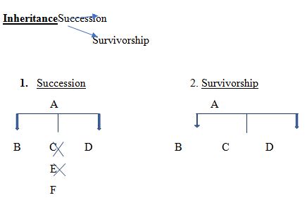Laws Of Succession Relating To Hindus