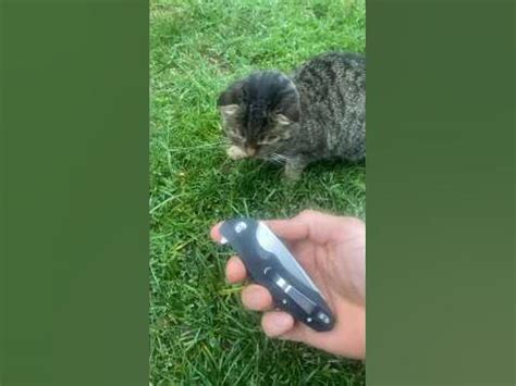 нож BORZ🐱 - YouTube