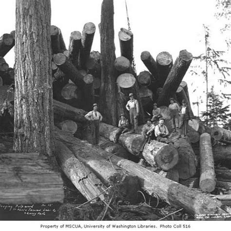 1 2 Fast Logging YouTube