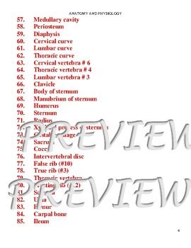 Anatomy And Physiology Skeletal System Lab Assessment Answer Key