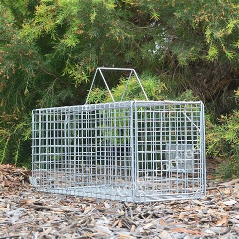 Trap Type Three Tombstone Trapping And Deer Feeders