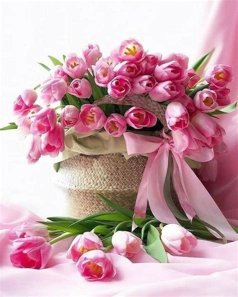 김진숙 📒🖊 필사 19day 일상기록 새벽기상 아침확언 아침명언긍정확언 긍정확언필사 긍정에너지 100일프로젝트 작은반복의힘 끈기프로젝트생각파워