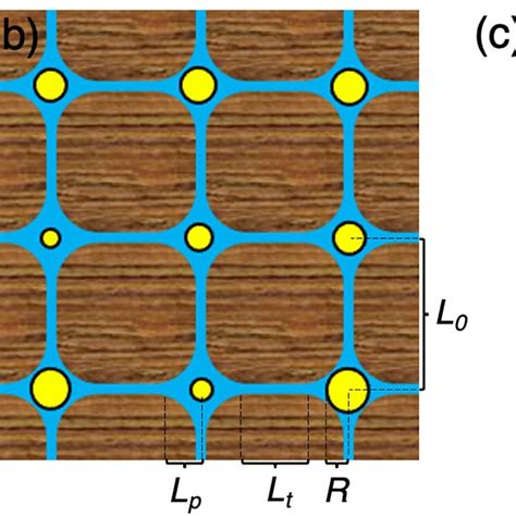 A Direct Numerical Simulation Result Of Concentration Field During Download Scientific