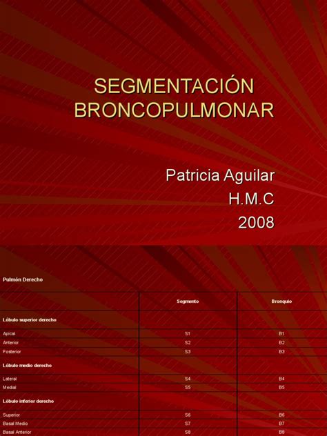Segmentacion Broncopulmonar Pdf