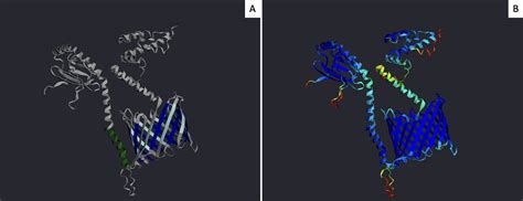 Github C Marquettmvisdb Tmvisdb Provides Per Residue Transmembrane Topology Annotations For