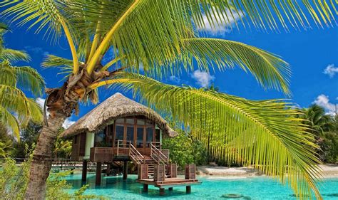 2001907 Resort Bungalow Palm Sunset Clouds Beach Calm Sand