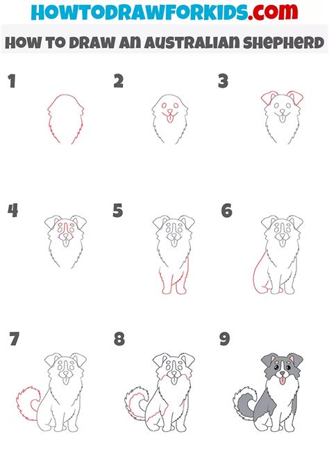 how to draw an australian shepherd step by step tutorial