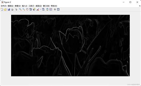 基于多尺度形态学梯度进行边缘检测（matlab代码实现） 荔枝科研社 博客园