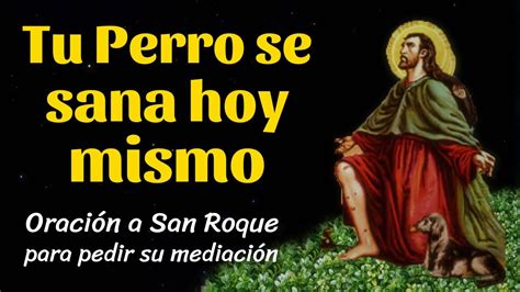 Oración A San Roque Para Que Cure Y Sane Mi Perro Youtube