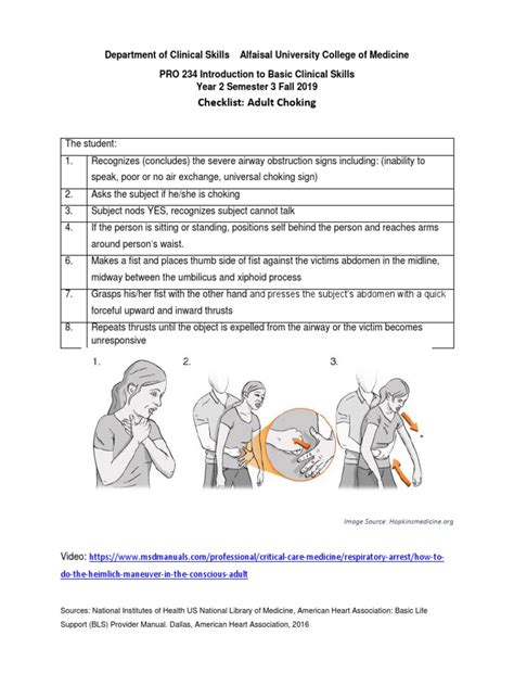 Checklist Adult Choking Pdf