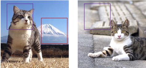 Figure 1 From Mixer Based Semantic Spread For Few Shot Learning