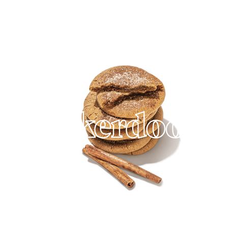 Keto Chow Keto Chow Snickerdoodle