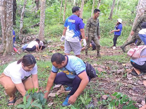 Tree Planting Activity Pinangunahan Ng Environment And Natural