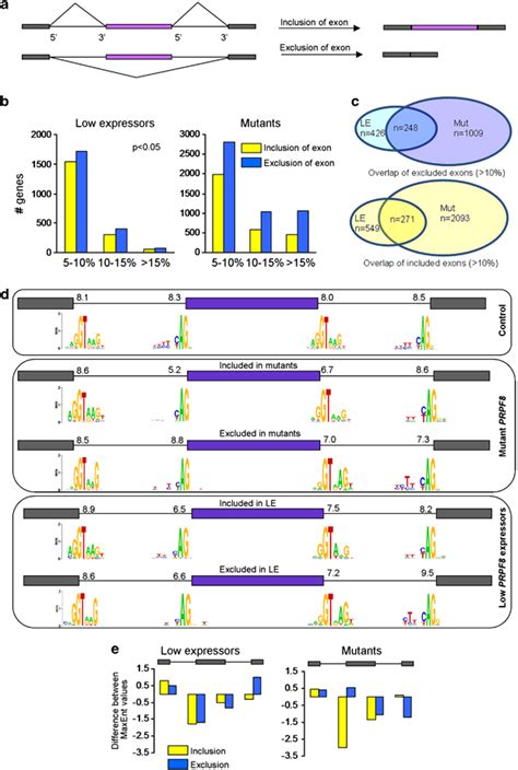 Aberrant Alternative Splicing In Prpf8 Mutants And Deletions A