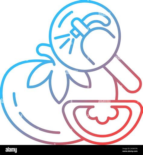 Pesticide Residue Testing Gradient Linear Vector Icon Stock Vector Image And Art Alamy