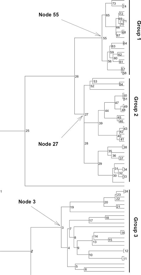 a phylogenetic tree showing the subtrees identified by the function