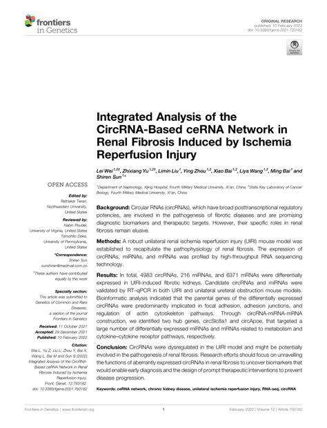 Pdf Integrated Analysis Of The Circrna Based Cerna Network In Renal