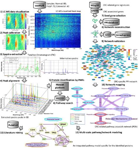 Figure 3 From Pathway And Network Analysis In Proteomics Semantic