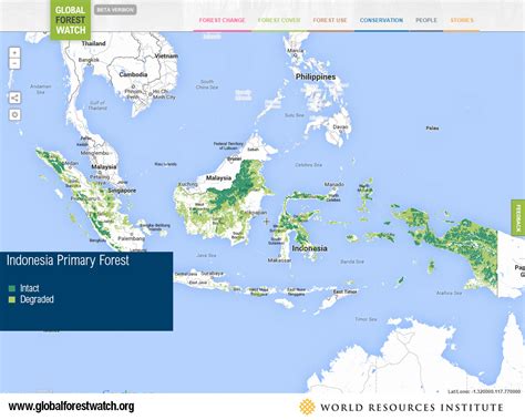 New Indonesia Primary Forest Data Now Available On Global Forest Watch