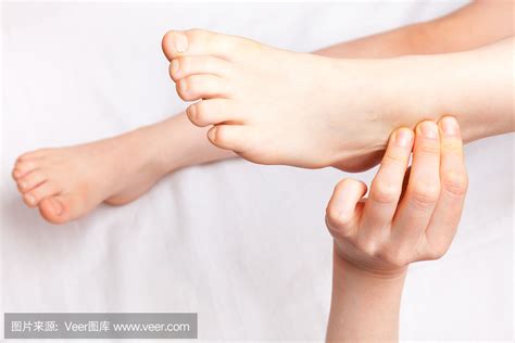 脚关节 脚关节图 随意云