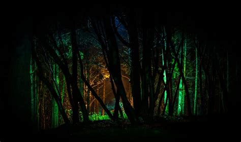 Make Your Summer Camp Killing Spree Sex Positive This Year By Lydia Bugg