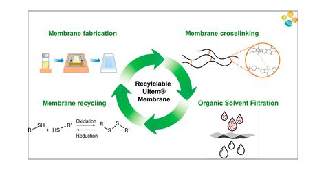 Recyclable Membranes Through Reversible And Dynamic Crosslinking Acs Applied Polymer Materials