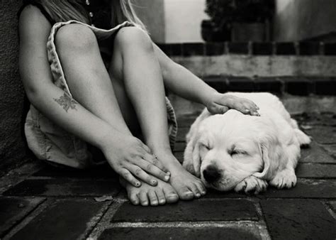 подборка Hivemind