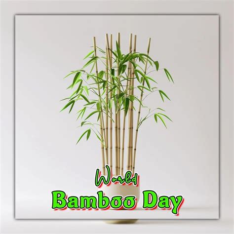 Día Mundial Del Bambú Ramas De Bambú Con Gotas De Lluvia Para El