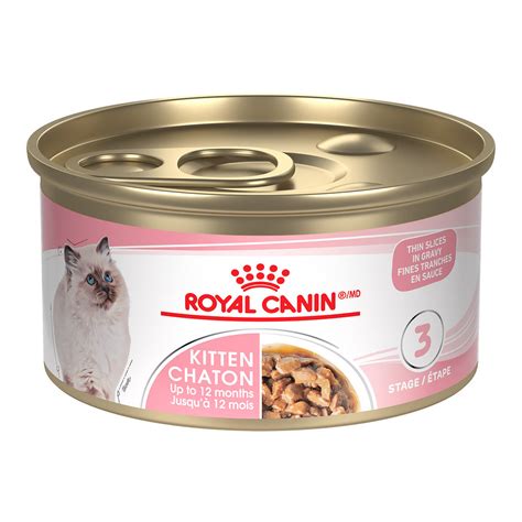 Royal Canin Kitten Wet Cat Food Mahogany Veterinary Clinic