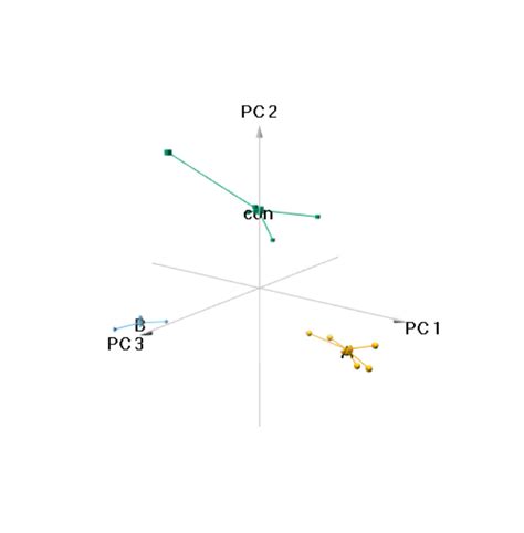 PCA主成分分析详解 生信自学网