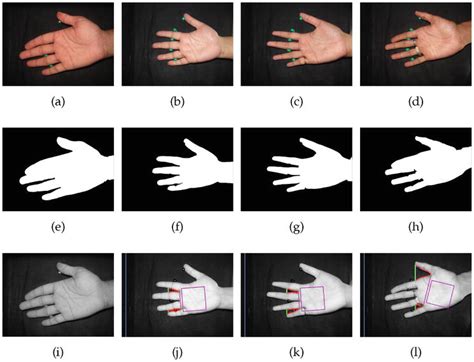 Region Of Interest Localization Methods For Publicly Available