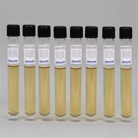 The Effect Of Water Activity And Osmotic Pressure On Microbial Growth