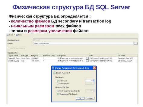 Организация БД Sql Server 2008 презентация доклад проект скачать