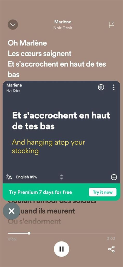 How To Translate The Lyrics Of Your Favorite Song On Spotify