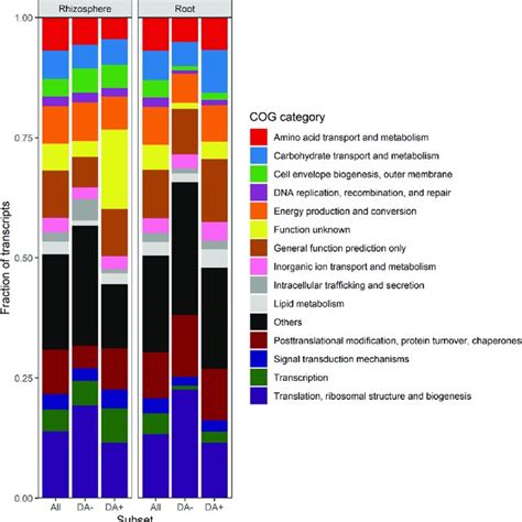 Functional Affiliations Of Transcripts Stack Bar Chart Comparing The