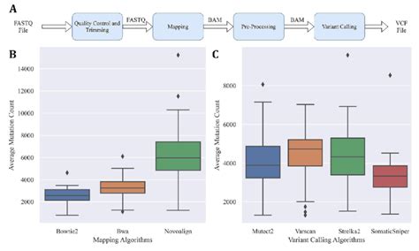 A The Workflow Of A Simple Cancer DNA Seq Analysis Pipeline Including Download Scientific