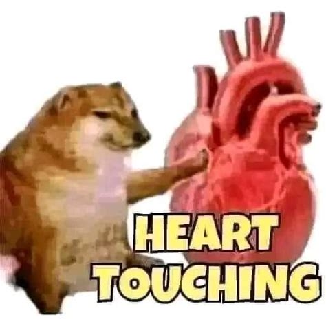 Wordington Sex Education Rwordington