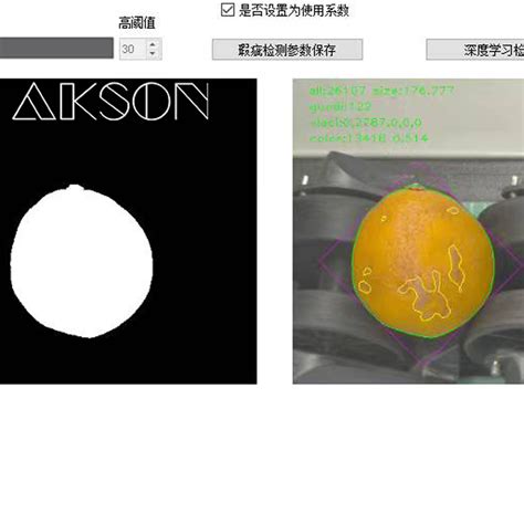 visual sorting machine color sorting appearance defects