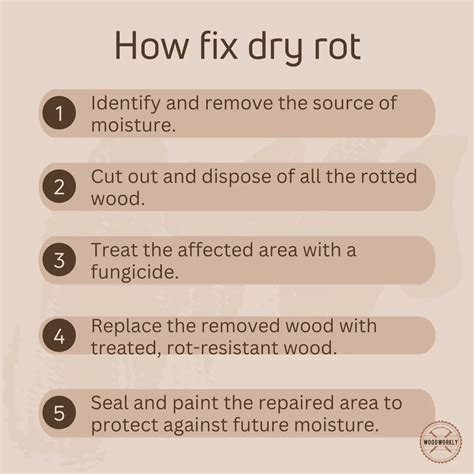 How To Tell If Wood Is Rotten Signs And Easy Fixes 2024