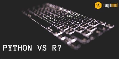 Python Vs R Magnimind Academy