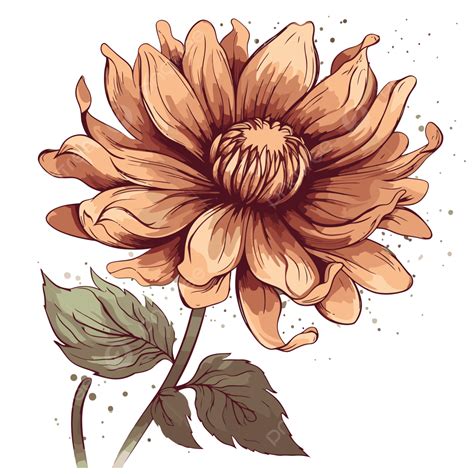 갈색 꽃 벡터 갈색과 노란색 달리아 만화의 스티커 클립 아트 꽃 그림 상표 클립 아트 Png 일러스트 및 벡터 에 대한 무료 다운로드 Pngtree
