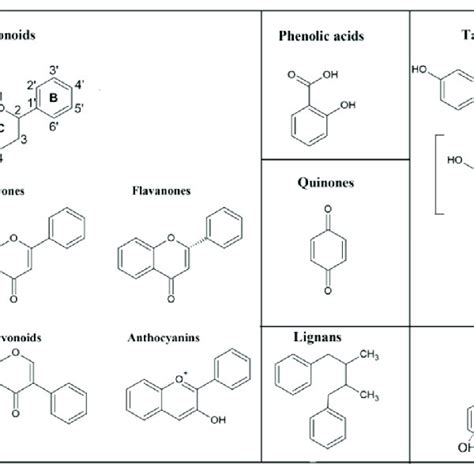 Chemical Structures Of The Main Classes Of Phenolic Compounds Download Scientific Diagram
