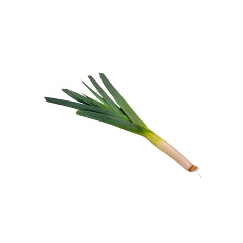 Single Leek Png Transparent Image Download Photo Waryhub