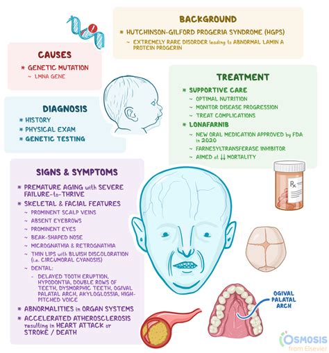 Progeria Therapy