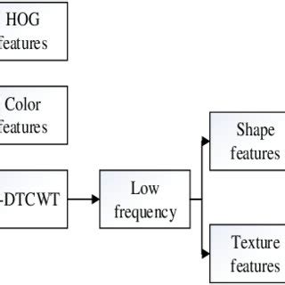 Algorithm Flow Chart Download Scientific Diagram