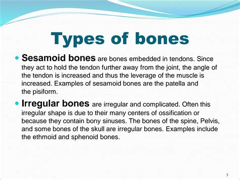SOLUTION Bones Structure And Types Of Bones Studypool