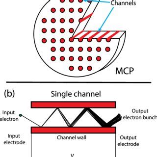 A Schematic Diagram Of An MCP A Shows The Whole MCP Consisting Of Download Scientific
